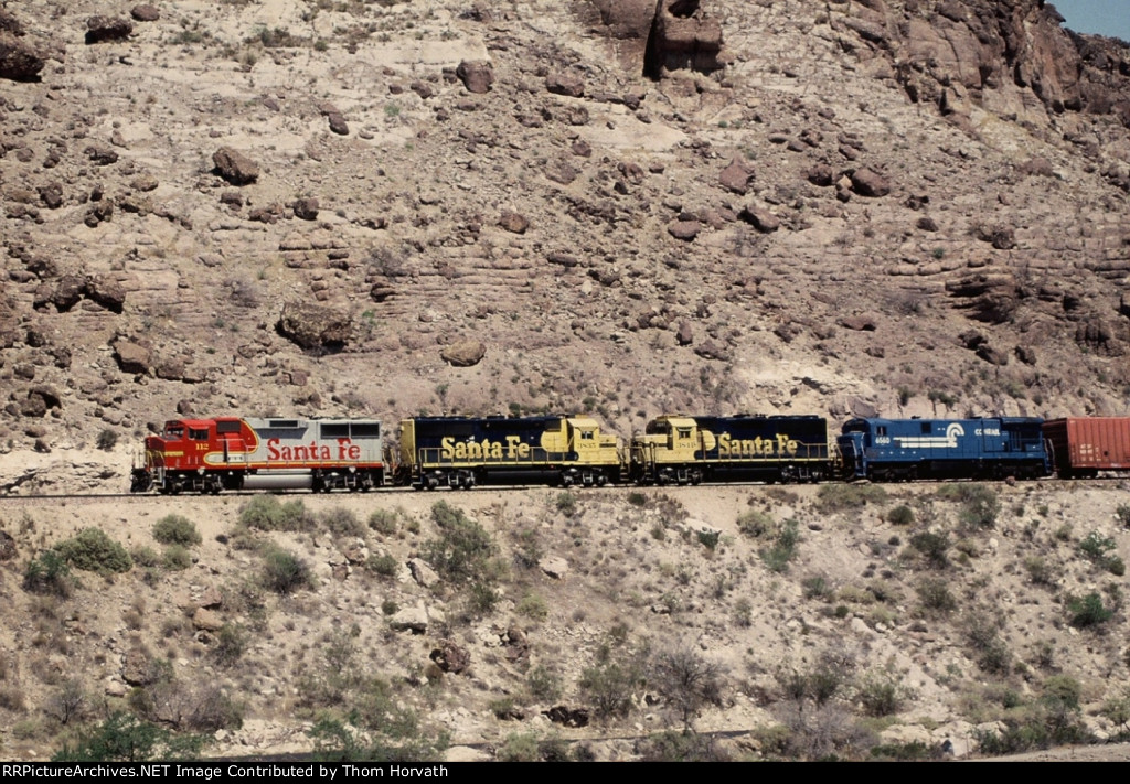 A colorful lashup pf motive power brings its general merchandise freight